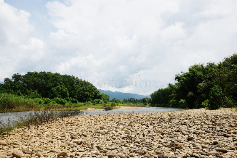 River with Rocks, Stream in a Tropical Rain Forest. Stock Photo - Image ...