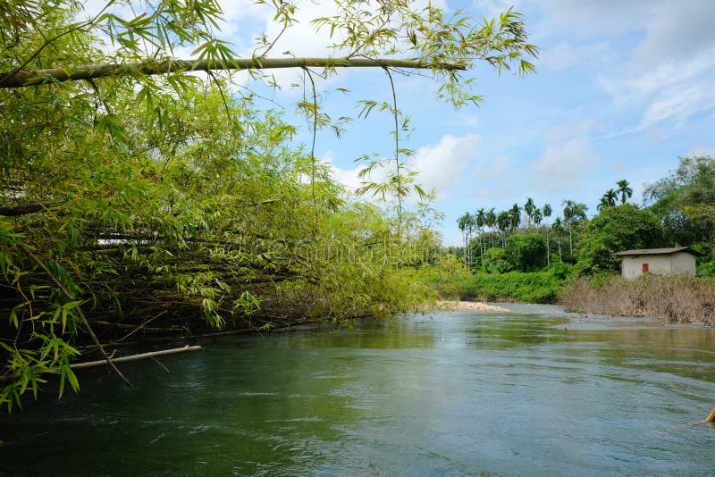 River with Rocks, Stream in a Tropical Rain Forest. Stock Image - Image ...