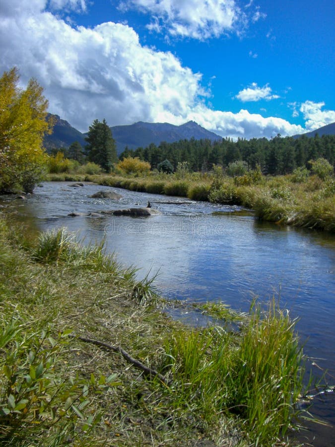 A River in the Rocky Mountains Stock Image - Image of hill, emblem ...