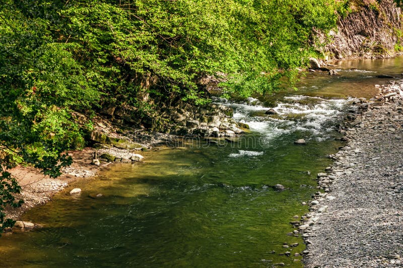 Shore of forest river stock image. Image of scenic, beautiful - 73471233
