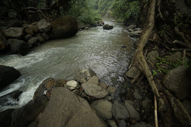 The River is Rocky and the Water is Murky Stock Photo - Image of ...
