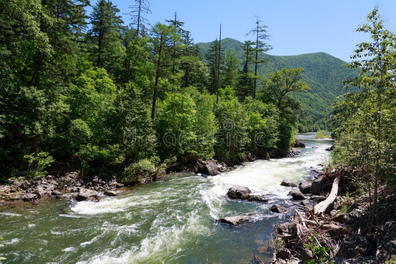 River with a rough stream stock photo. Image of beautiful - 33916056