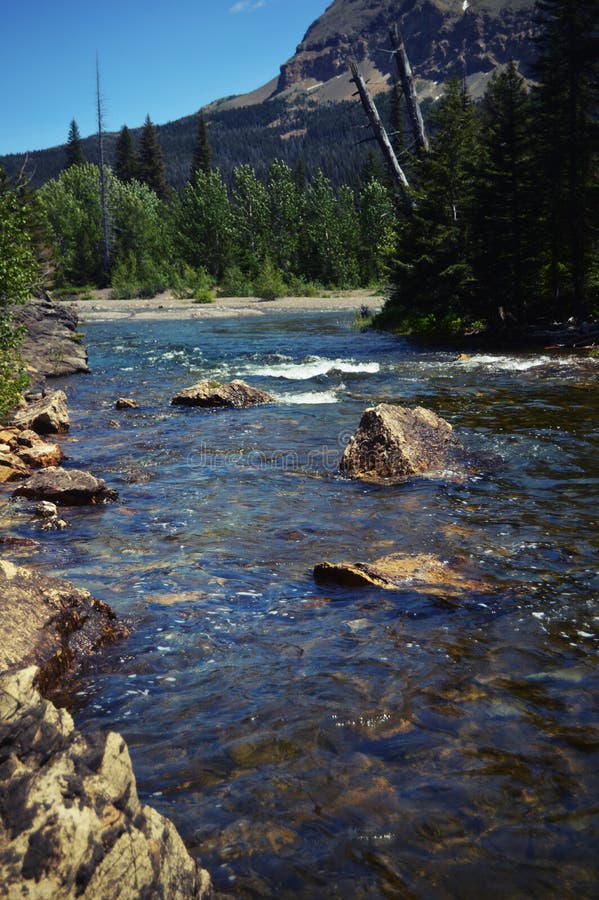 River stock image. Image of mountain, hiking, river, trees - 55535687