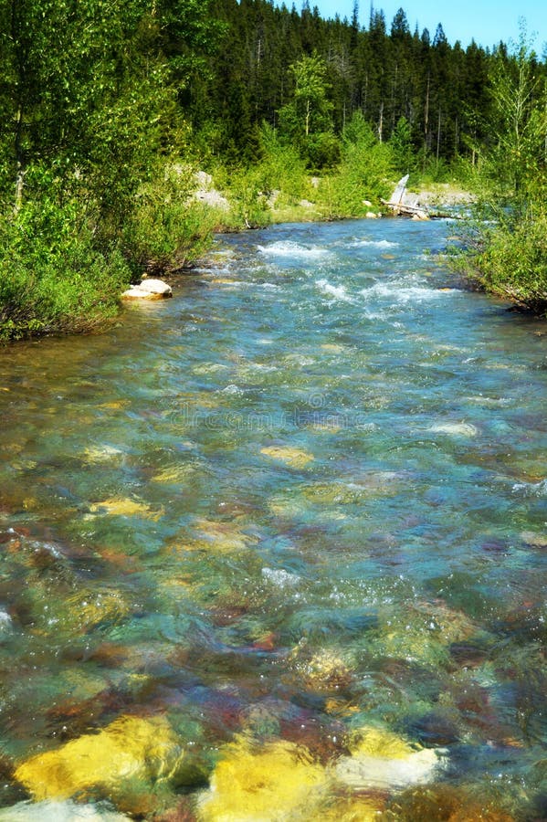 River stock image. Image of trees, waterfall, montana - 55535695