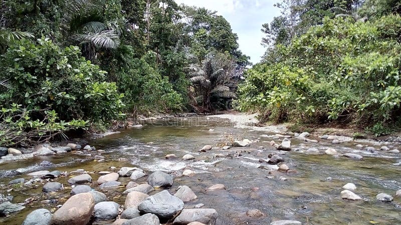 A river run through it stock photo. Image of water, river - 223050016
