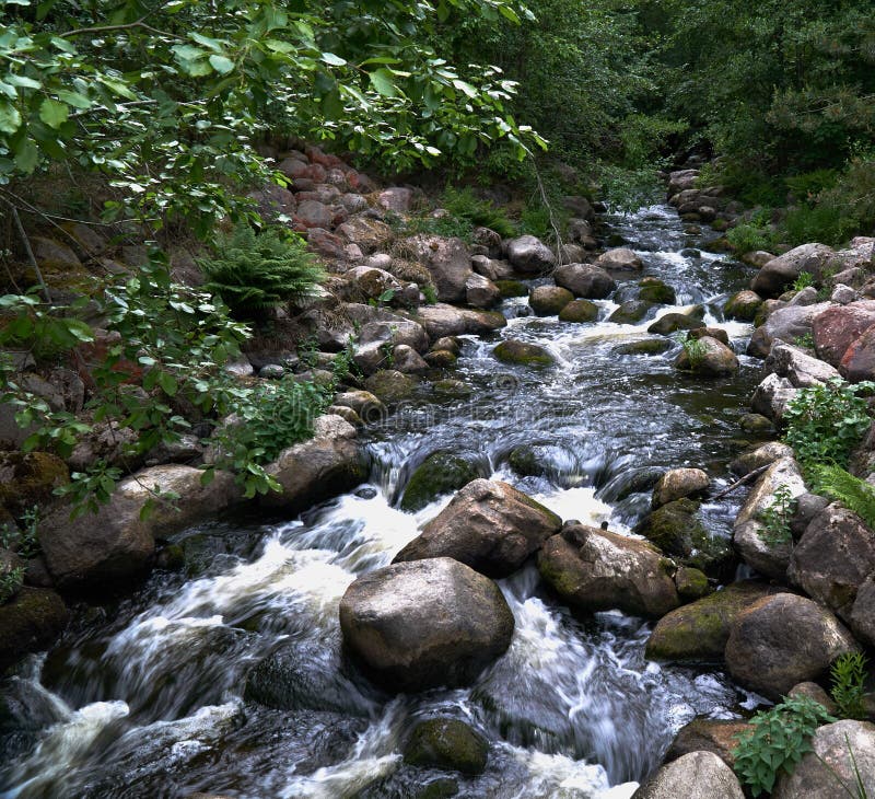 River Running through the Forest Stock Photo - Image of green, outdoors ...