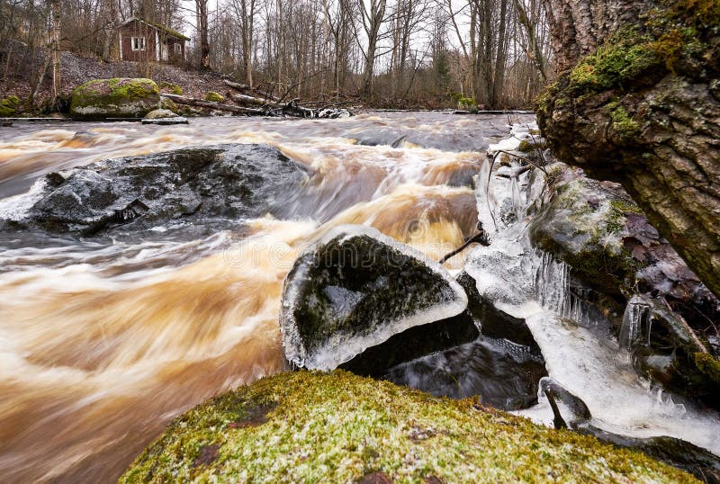 River Running through the Forest Stock Photo - Image of environment ...
