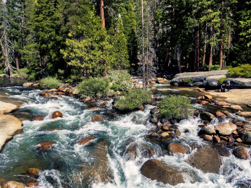 River Running through a Forest with Rocks and Trees Stock Photo - Image ...