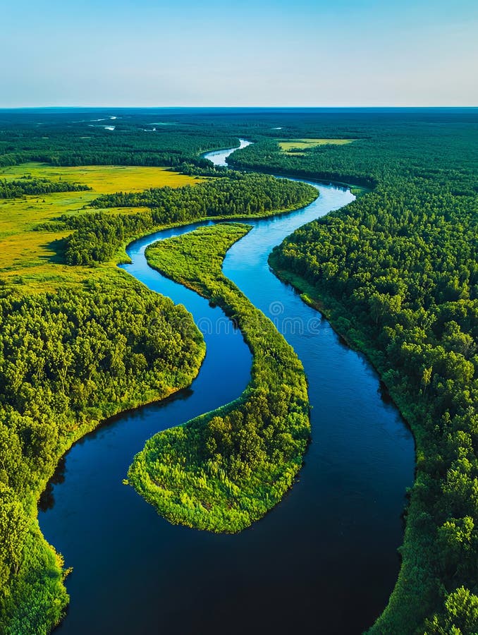 A River Running through a Lush Green Forest Stock Image - Image of ...
