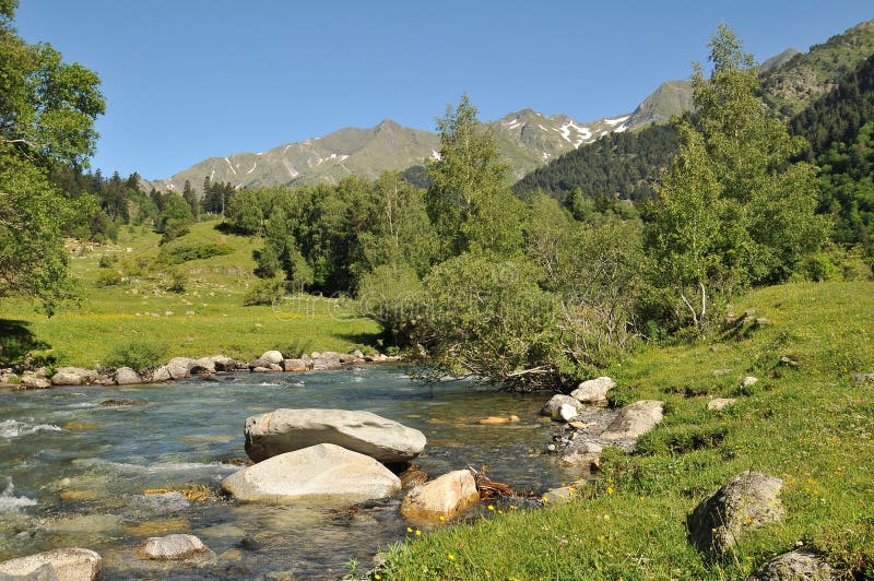 River Running through a Lush Green Forest with Trees Stock Image ...