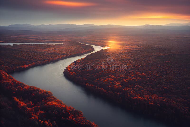 A River Running through a Lush Green Forest Under a Cloudy Sky at ...