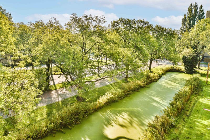 A River Running through a Lush Green Park with Trees Stock Photo ...