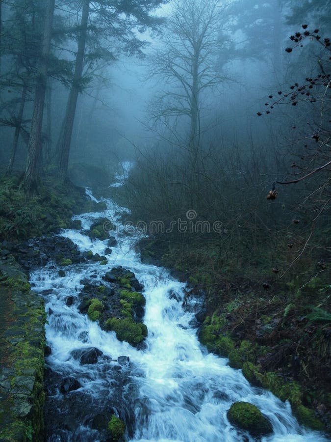 River Running through the Mist in Portland, Oregon Stock Image - Image ...