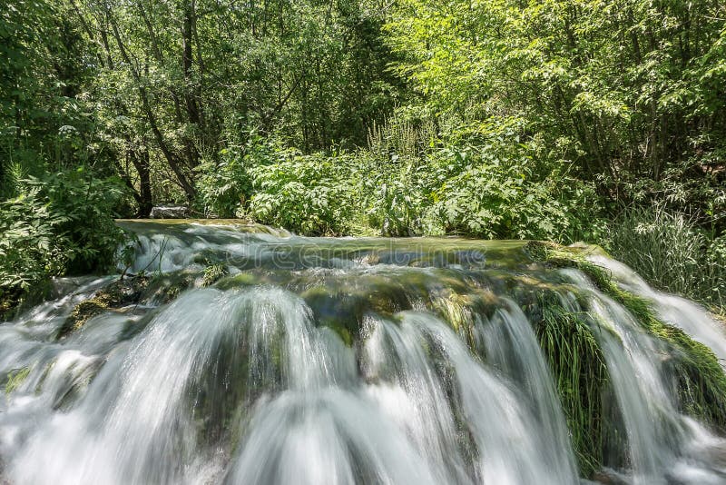 River Running Trough Forrest on a Sunny Day Stock Image - Image of ...