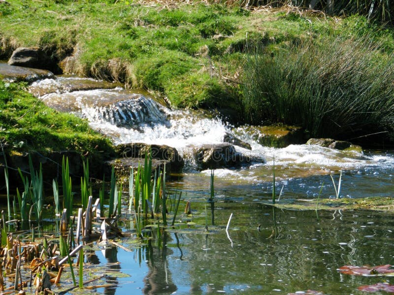 River stock photo. Image of running, river, water, summer - 62847424