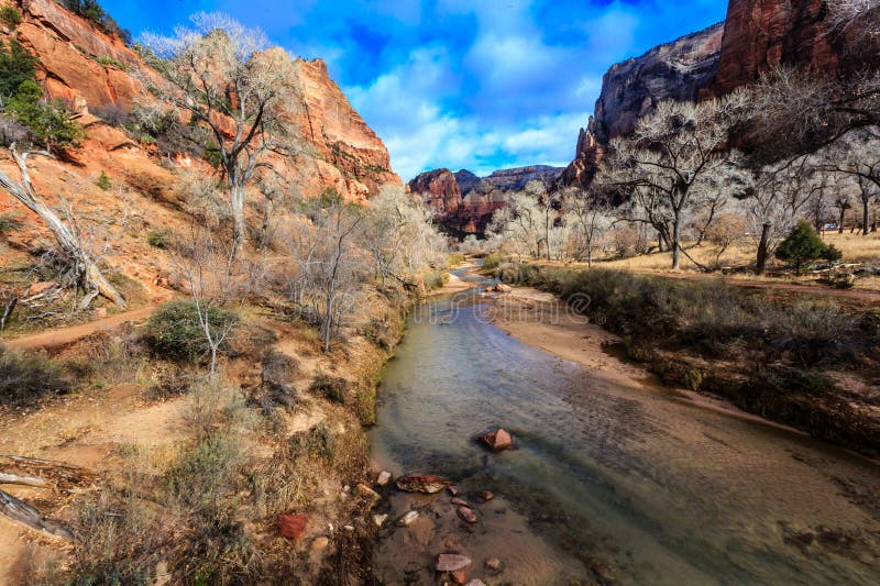 A River Runs through a Canyon with Trees on Either Side Stock Image ...