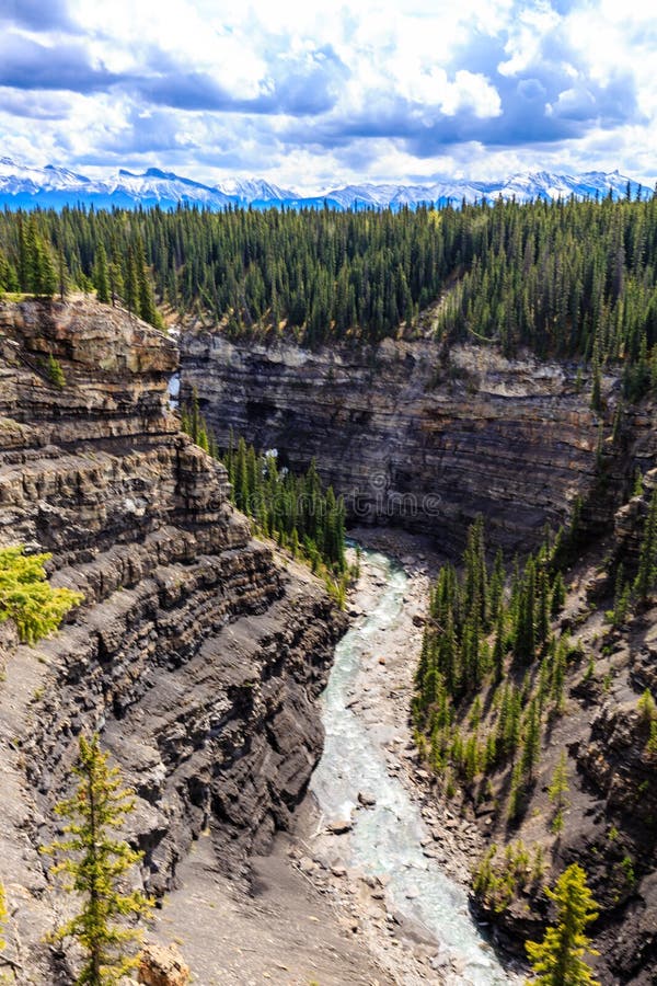 A River Runs through a Canyon with Trees on Either Side Stock Photo ...