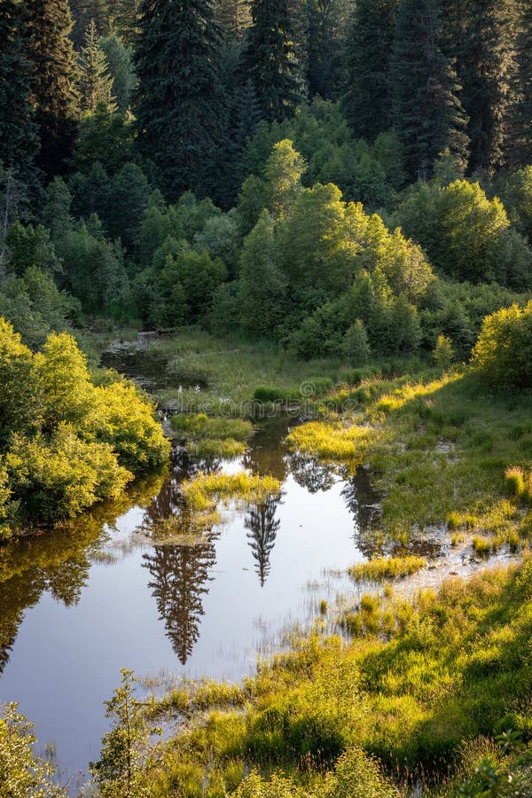 River Runs through Meadow in Eastern Washington Stock Image - Image of ...