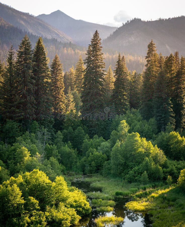 River Runs through Meadow in Eastern Washington Stock Image - Image of ...