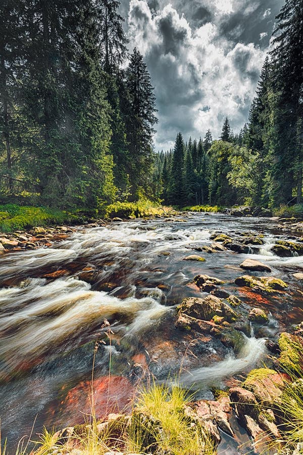 River Runs Over Boulders in the Primeval Forest Stock Image - Image of ...