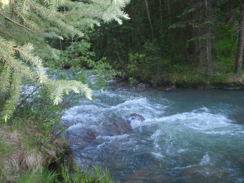 River rushing in Colorado stock image. Image of river - 75631339