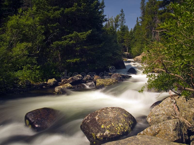 River Rushing Down a Dark Green Mountain Stock Photo - Image of ...
