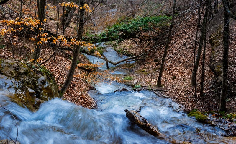 River Rushing through the Canyon Stock Image - Image of moss, landscape ...