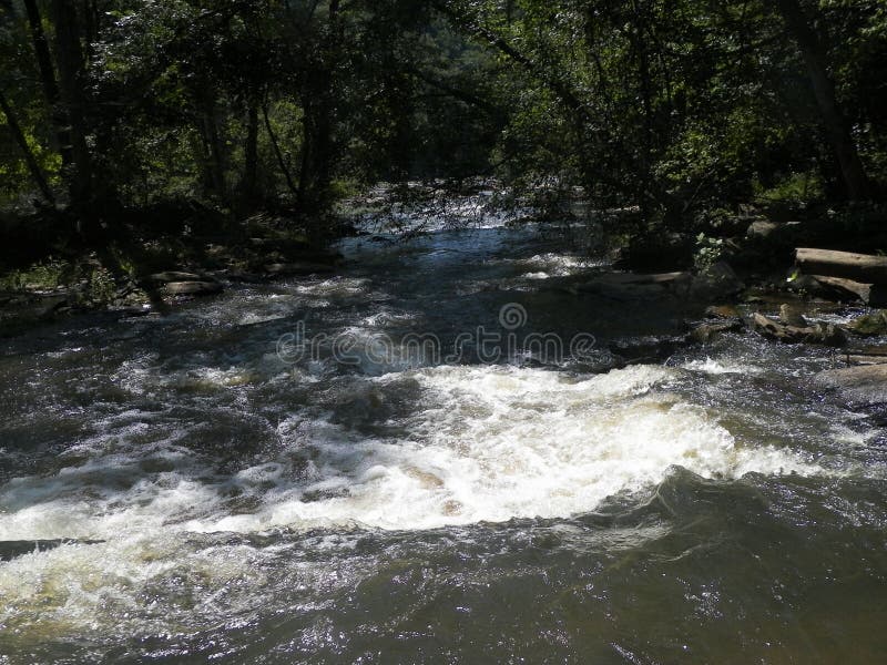 River rushing stock image. Image of georgia, forest, serene - 48667305