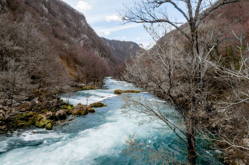 River with Rushing Rapids, Lush Trees in the Background Providing a ...