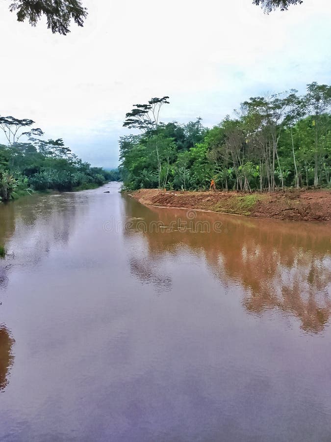 The Gentle Flow of the River, between the Leaves and the Beautiful Rock ...