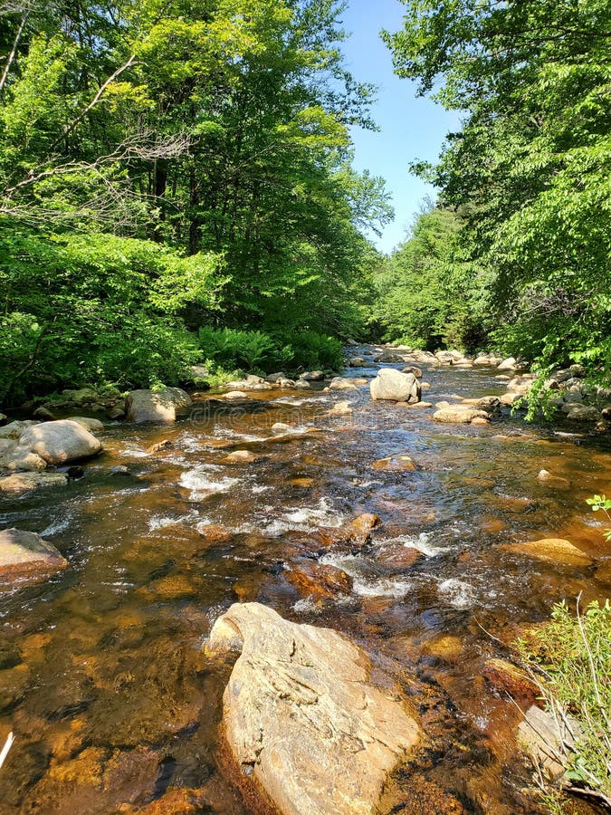 River& x27;s edge stock image. Image of nature, water - 151609787