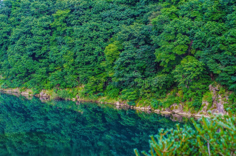A River in Samcheok in South Korea, with a Reflection of the Green ...
