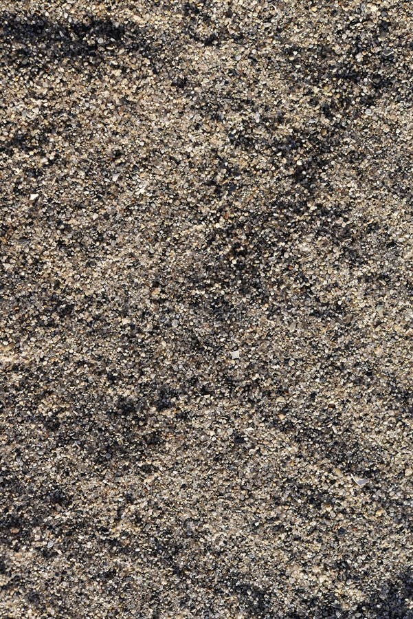 The River Sand is Coarse-grained. Small Pebbles of River Sand Stock ...