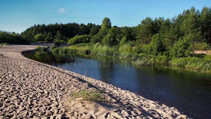River Sand Coast Green Forest Stock Photo - Image of nature, high: 96936070
