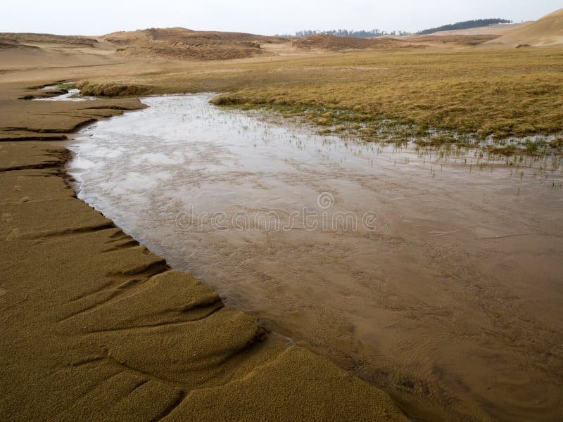 River in the sand stock image. Image of dunes, desert - 46243793