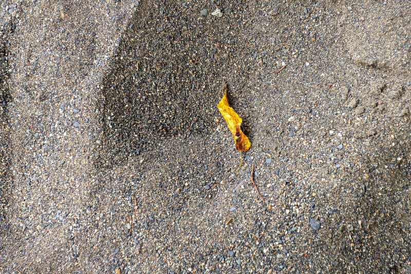 Natural Sand in a Natural Environment, a Rough Surface Burned Out in ...