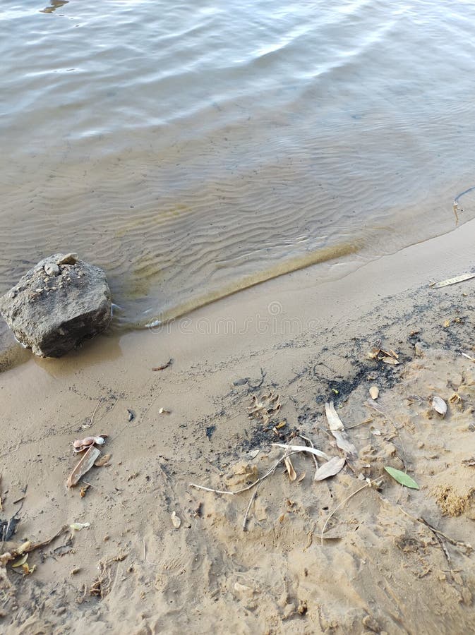 River Sand with Stone and Little Leaves Stock Photo - Image of sand ...