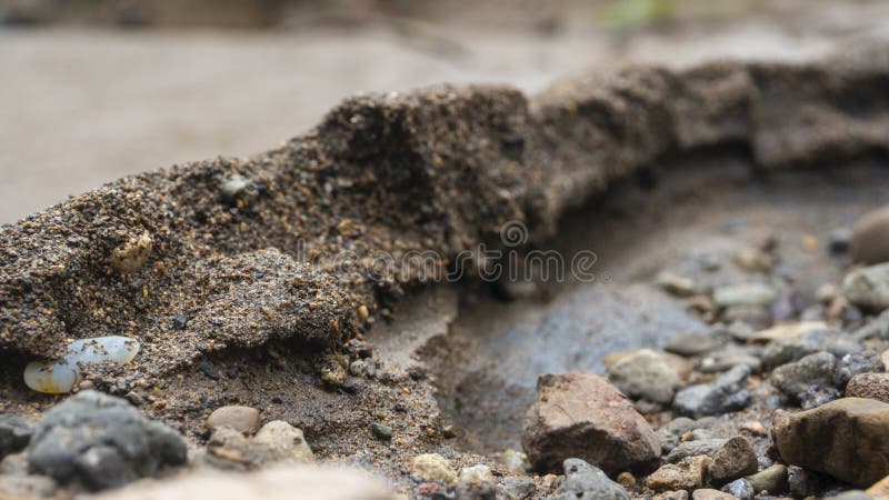 River Sand Texture with a Mixture of Iron Ore and Pebbles Stock Photo ...