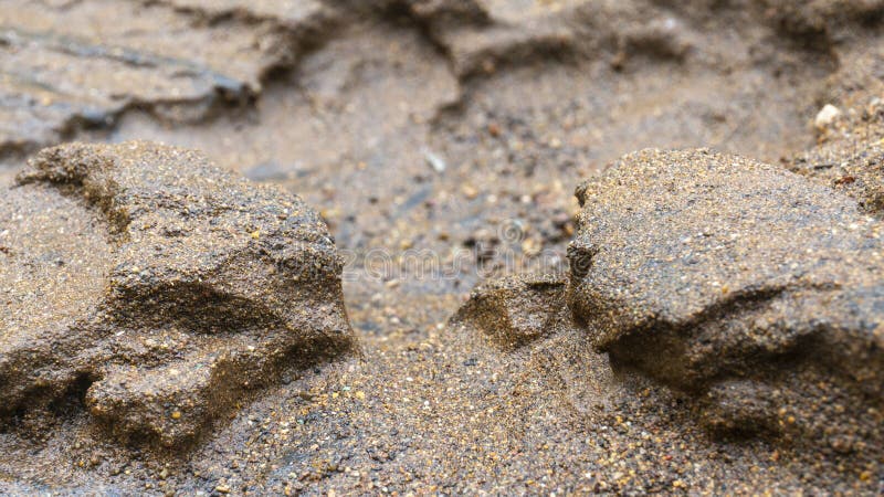River Sand Texture with a Mixture of Iron Ore and Pebbles Stock Image ...