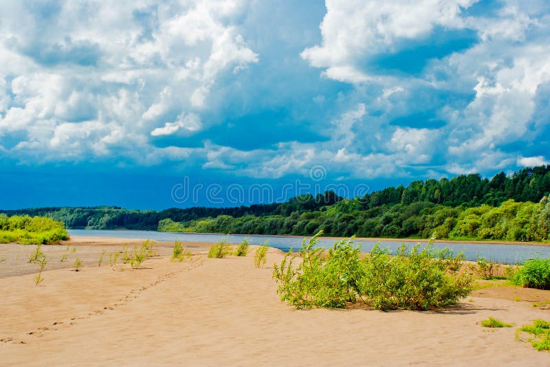 River beach stock photo. Image of sand, stream, willow - 30485614