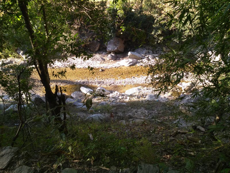 River scene stock image. Image of captured, river, beautiful - 135442475