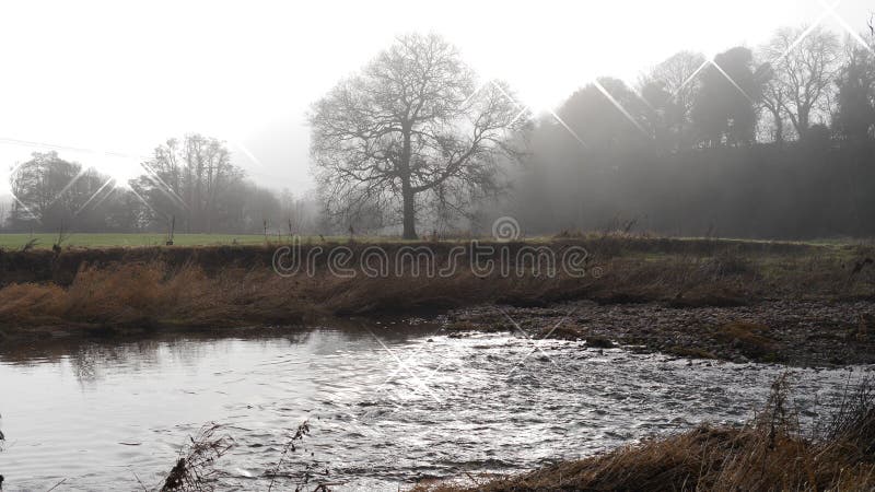 A River Scene in England with Trees Shrouded in Mist Stock Photo ...
