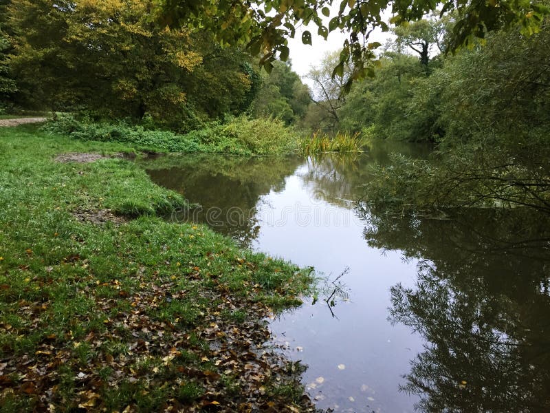 River scene landscape stock photo. Image of wide, ducks - 129475650