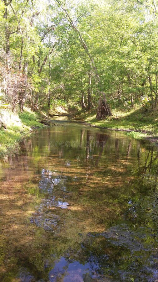 River scene 9 stock image. Image of santefe, florida - 91976977
