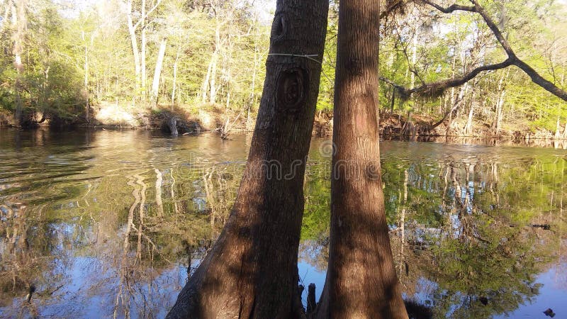 River scene 3 stock photo. Image of river, florida, santefe - 91977010
