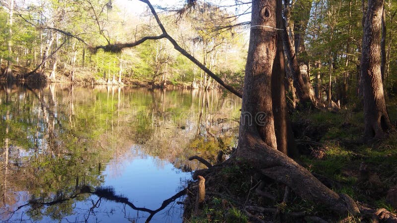 River scene 5 stock image. Image of river, scene, highsprings - 91977015