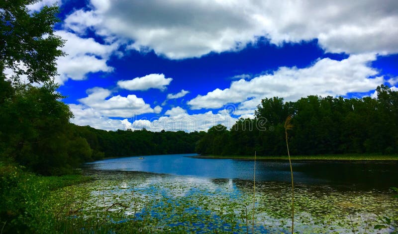 River Scenery stock image. Image of color, plants, algae - 75103901