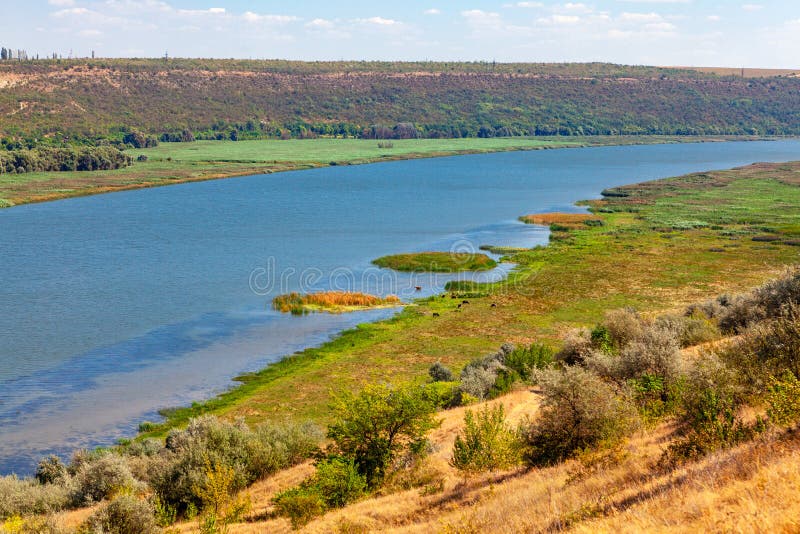 River Scenery Nature Reserve Stock Photo - Image of hiking, reed: 241896092