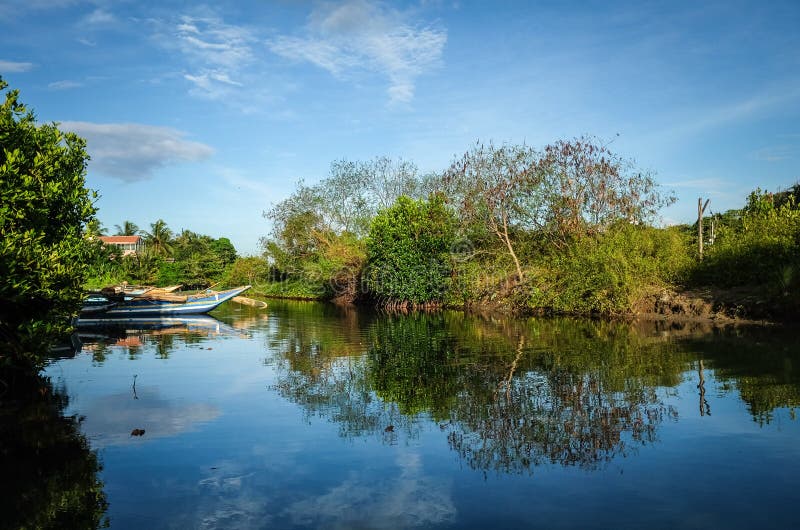 River Scenery at Summer in Colombo, Sri Lanka Stock Image - Image of ...