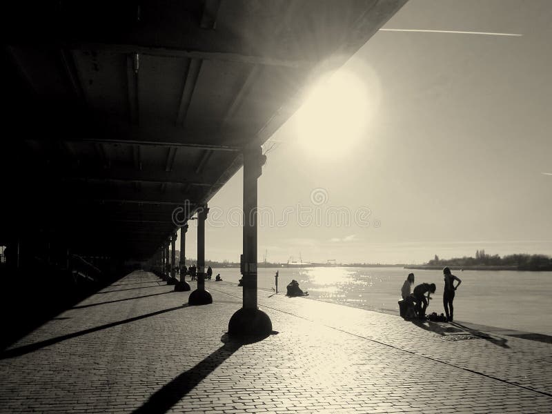 The river Schelde, Antwerp stock photo. Image of shadow - 14340682